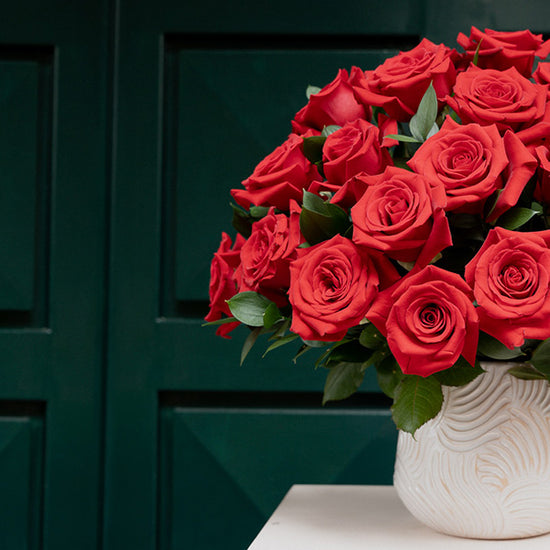 ROSAS – Rosas Don Eloy